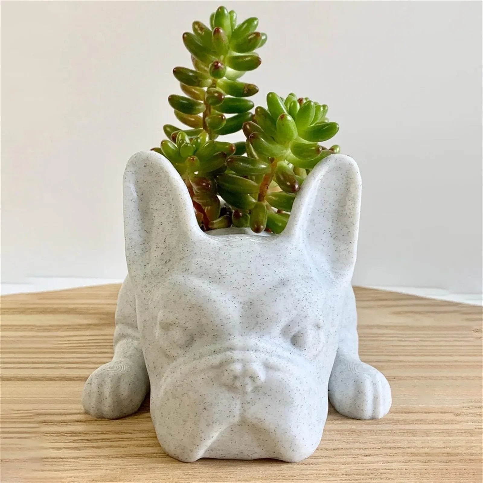 Bonsai Plantenbak | Puppy Franse Bulldog Stijlvol Schattig Uniek ...